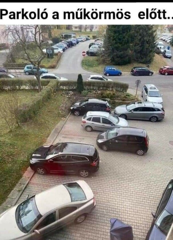 Miskolc. Rossz emlékek a fészekrakókról. Inzultálják az embereket, a ...